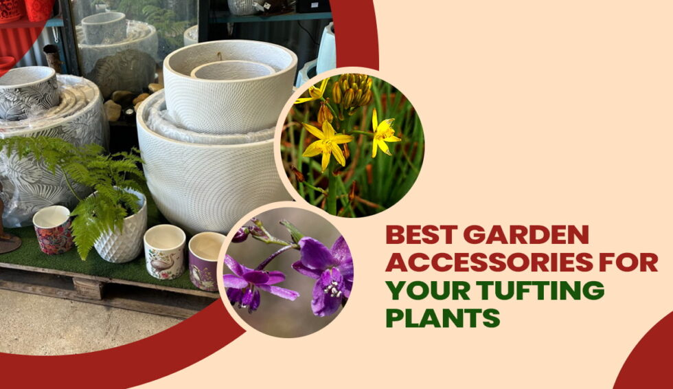 Best Garden Accessories for Your Tufting Plants