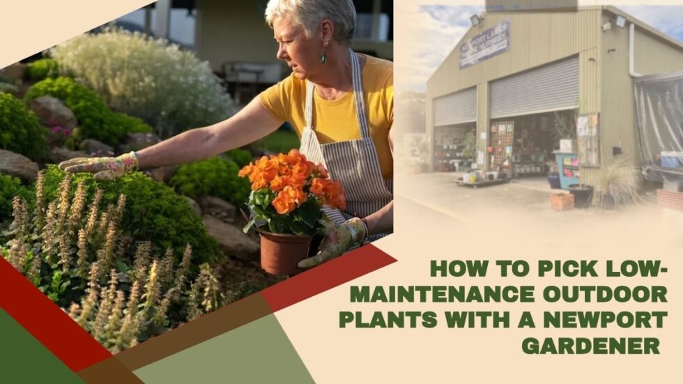 How to Pick Low-Maintenance Outdoor Plants