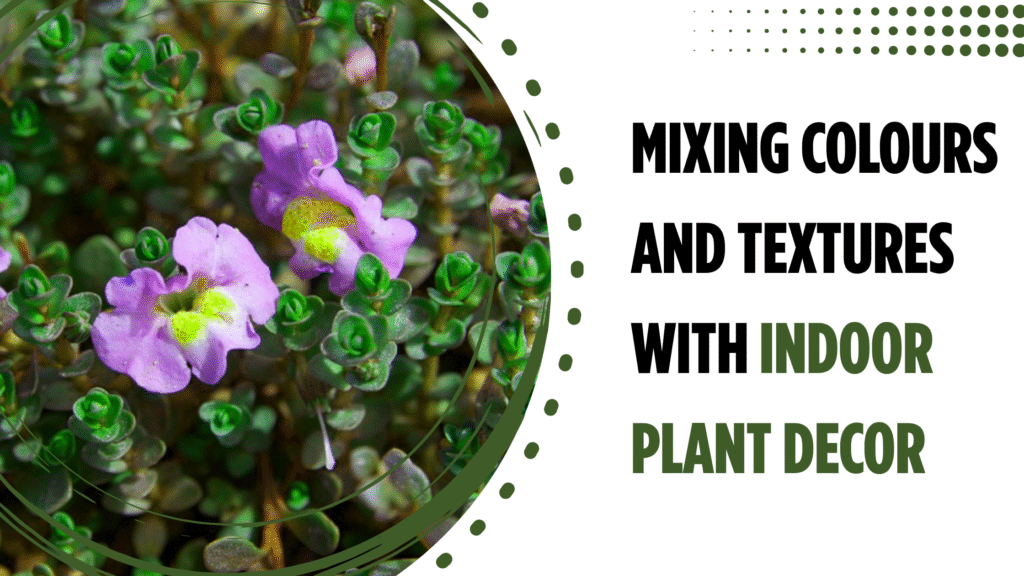 Mixing Colours and Textures with Indoor Plant Decor